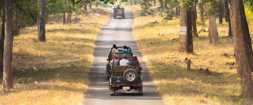 Tadoba National Park, Tadoba Online Safari Booking