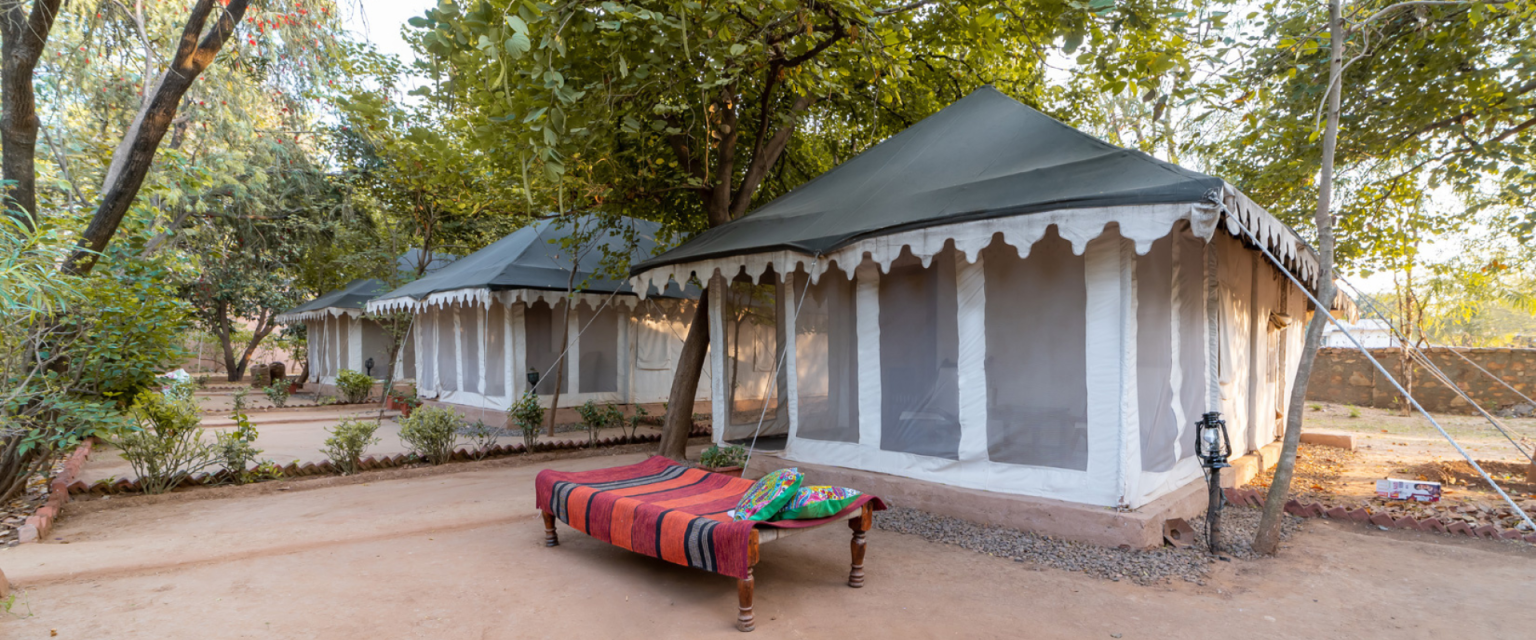 Tiger Machan - Ranthambore Tiger Safari