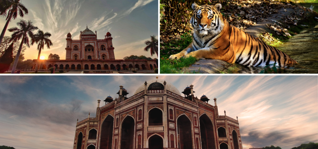 Ranthambore Special Tour Package, Ranthambore National Park Special Tour