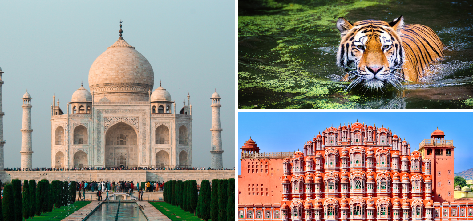 Ranthambore With Golden Triangle, Ranthambore National Park With Golden ...
